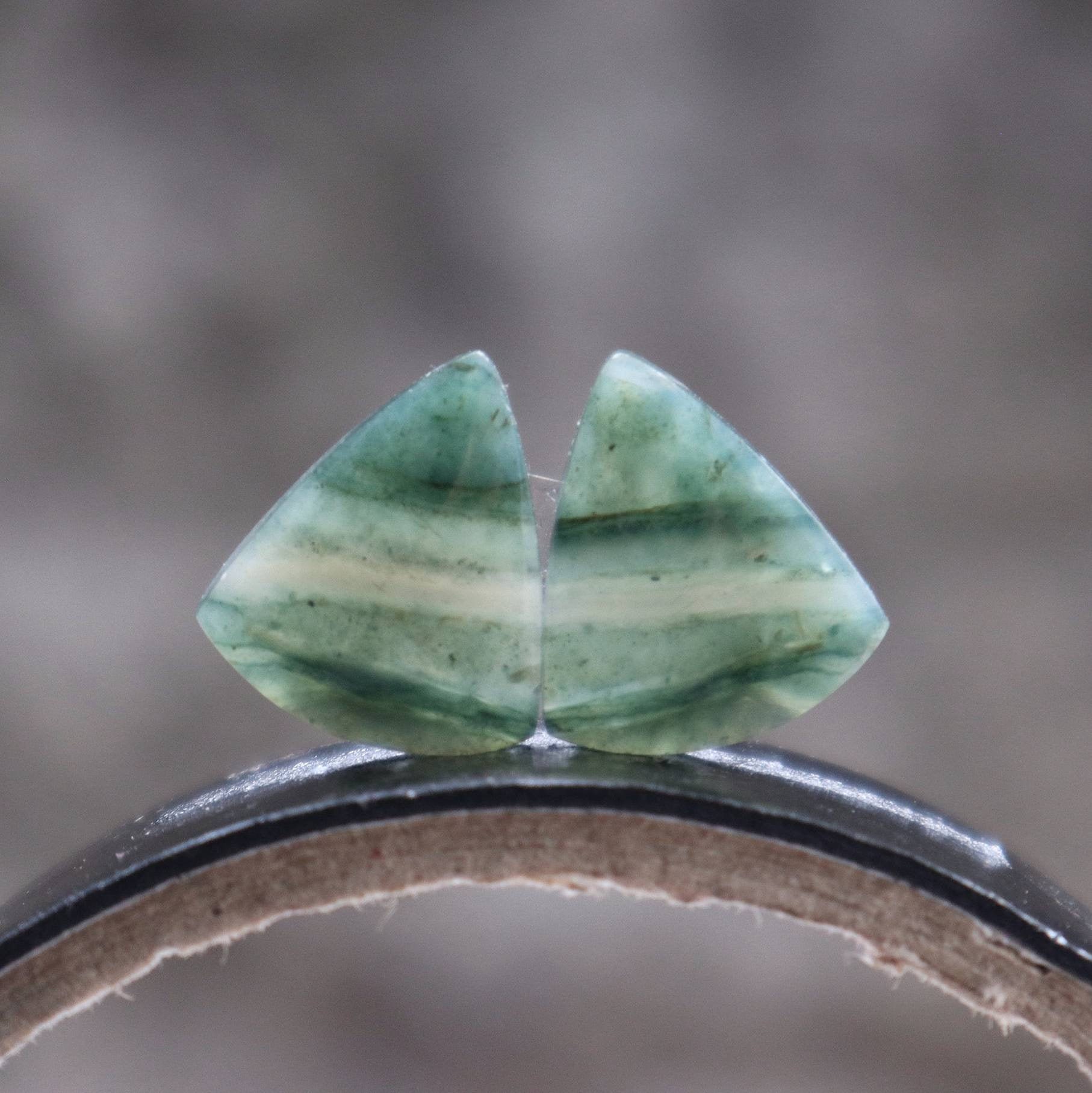 Opalized wood pairs | Etsy