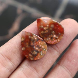 River Jasper Pair Just Like Ocean Jasper : Size 22×16×4 Mm Weight 5,6 ...