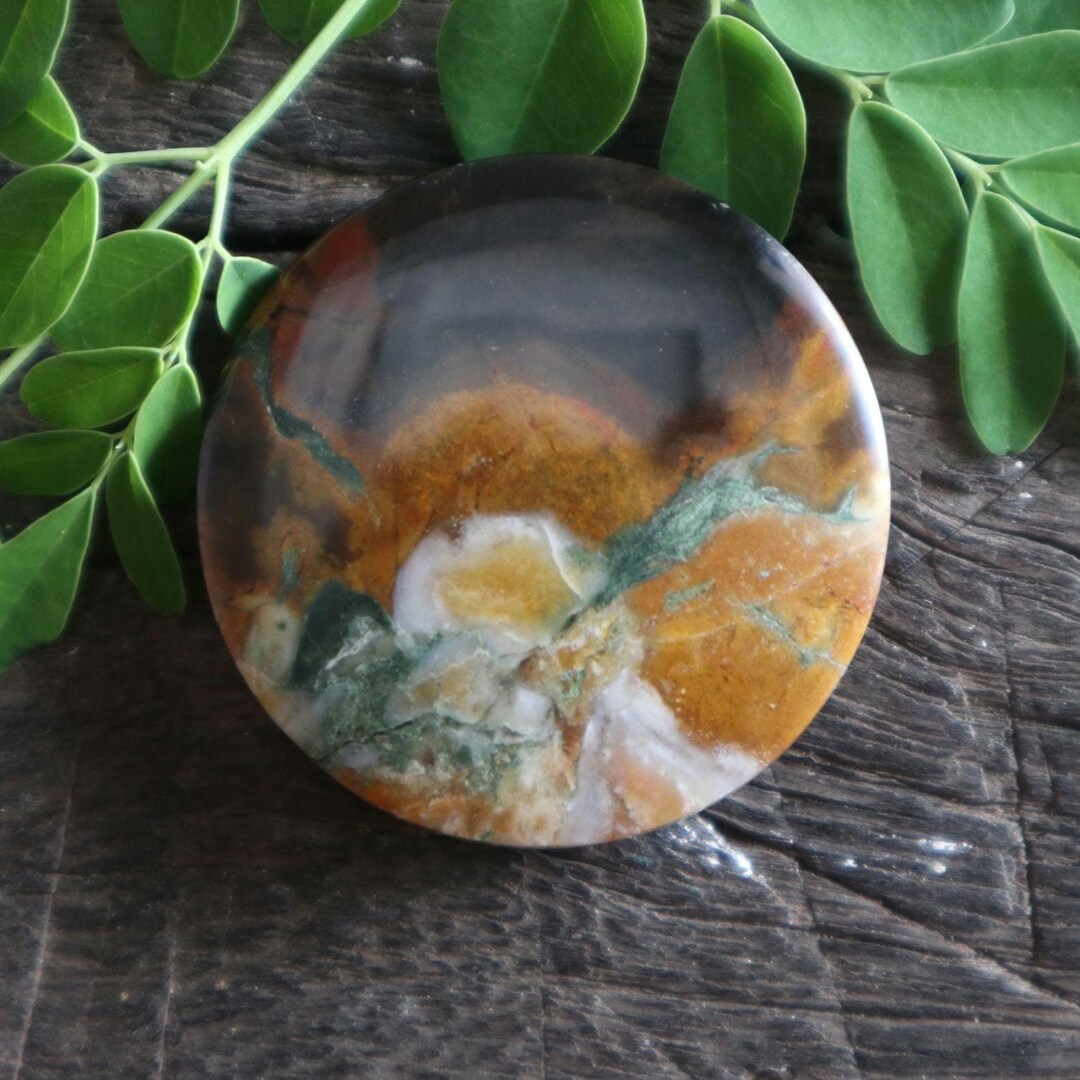 Opalized Wood ,mohs Scales of Mineral Hardness,agate Gemstone,flower ...