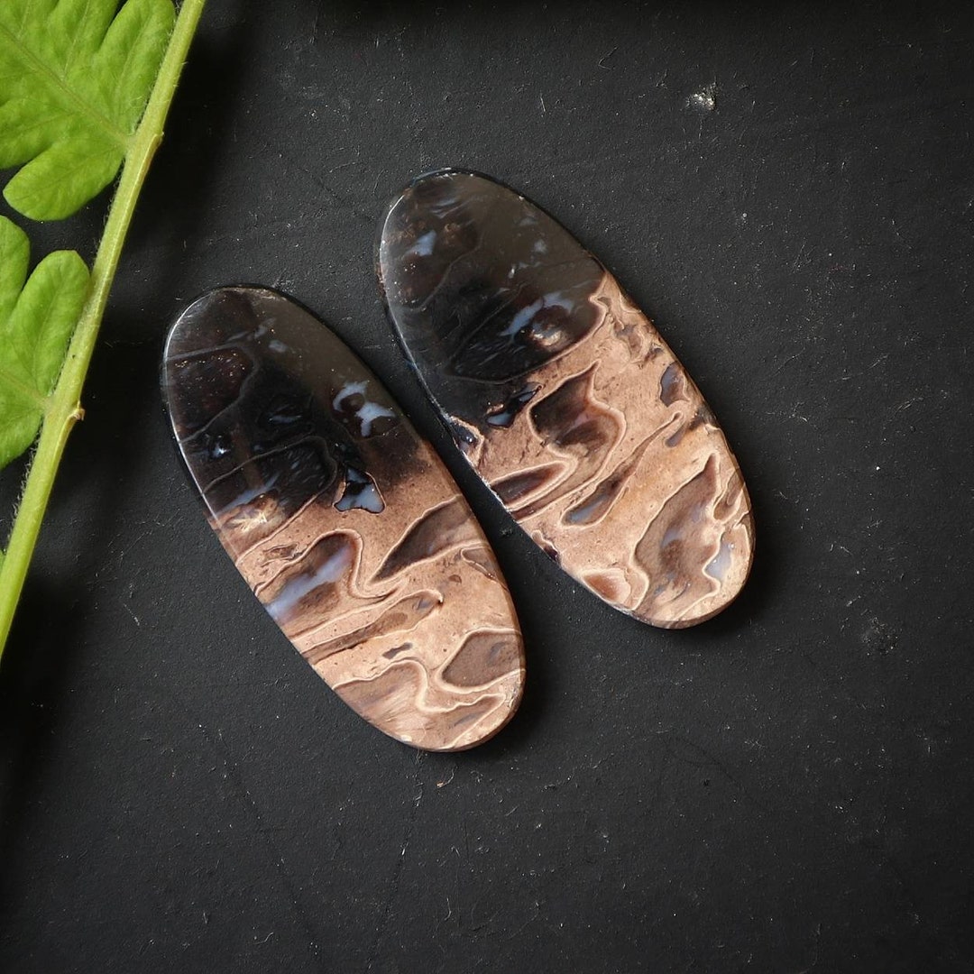Palm Root Jasper Pair - Etsy