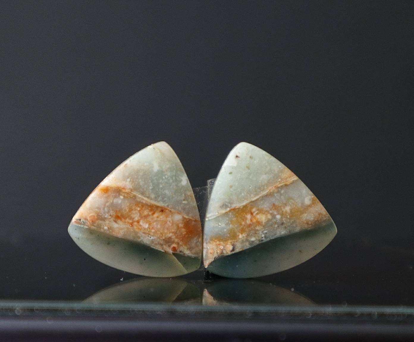 Jewelry & Beauty Natural Opalized Petrified Wood pairs Materials ...