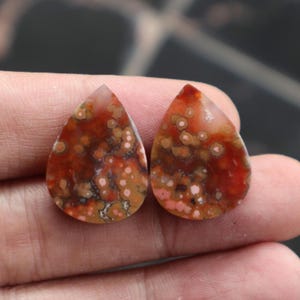River Jasper Pair Just Like Ocean Jasper : Size 22×16×4 Mm Weight 5,6 ...