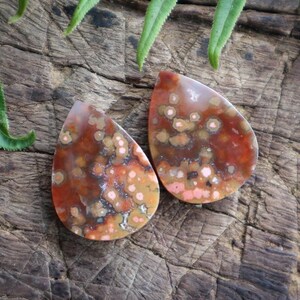 River Jasper Pair Just Like Ocean Jasper : Size 22×16×4 Mm Weight 5,6 ...
