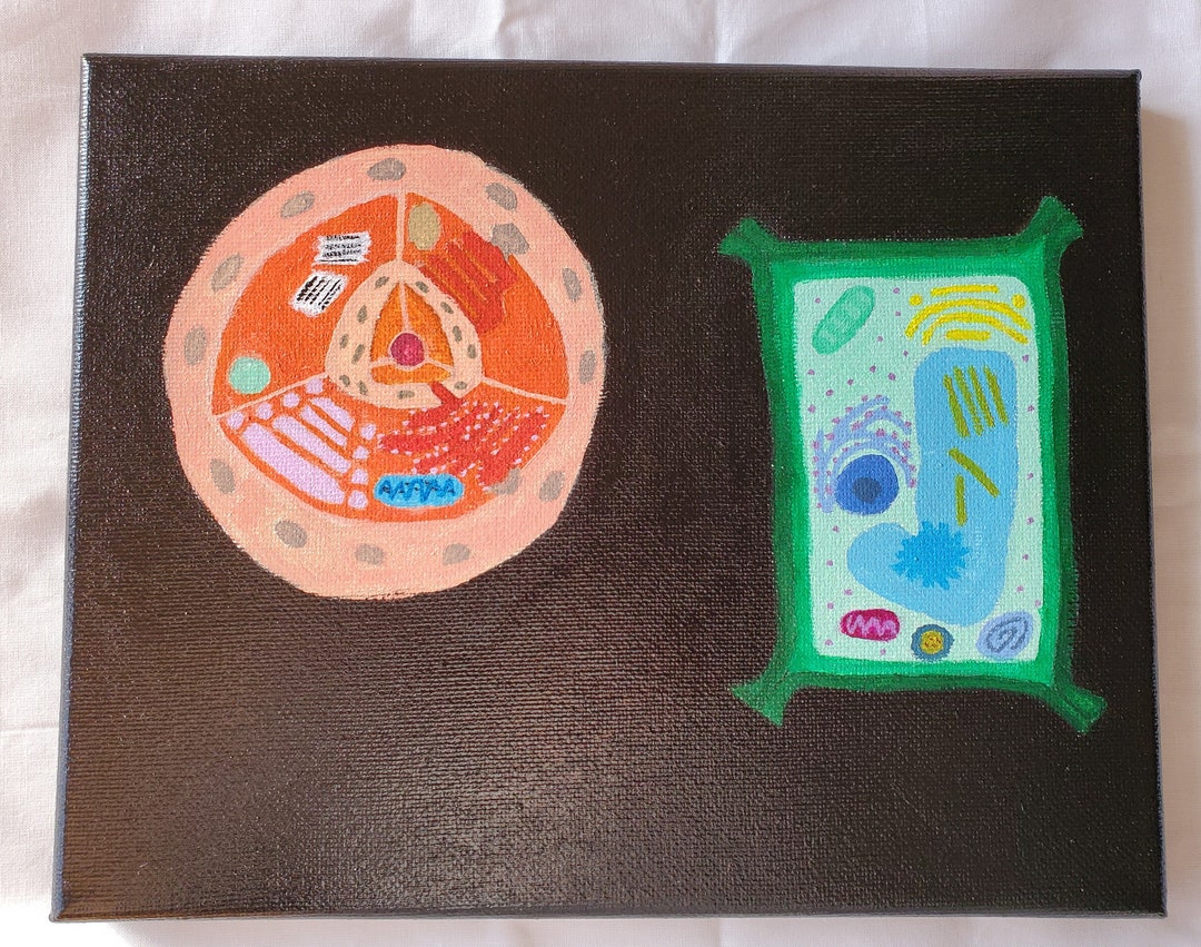 Painting of Animal and Plant Cells - Etsy