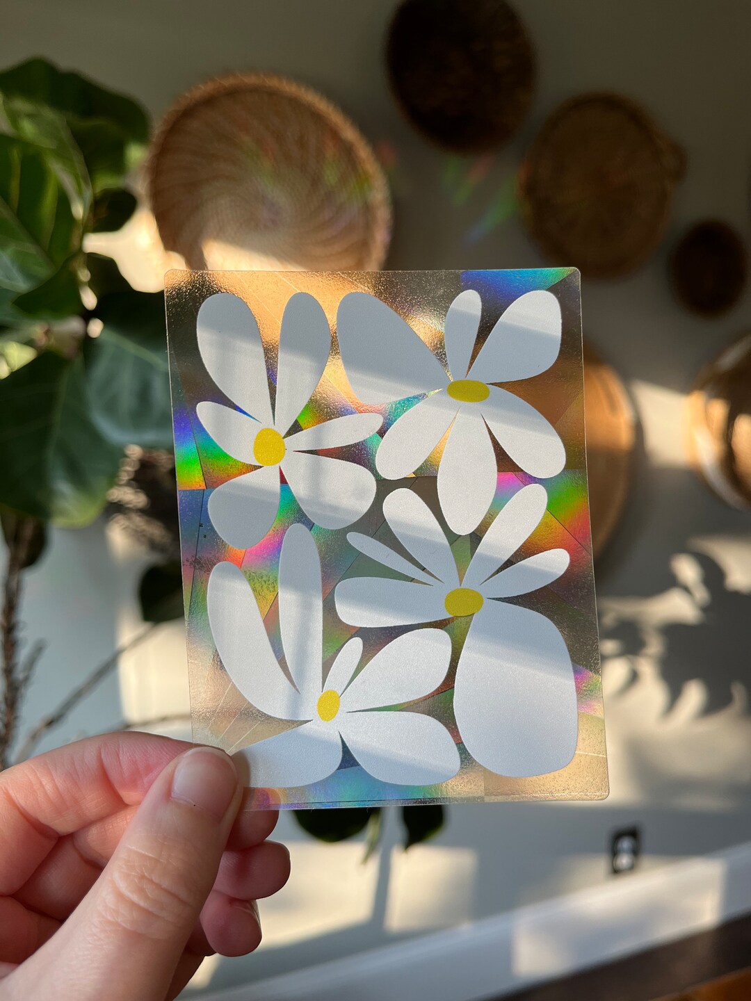 Funky Daisy Suncatcher | Rainbow Window Sticker | Rainbow Maker Prism ...