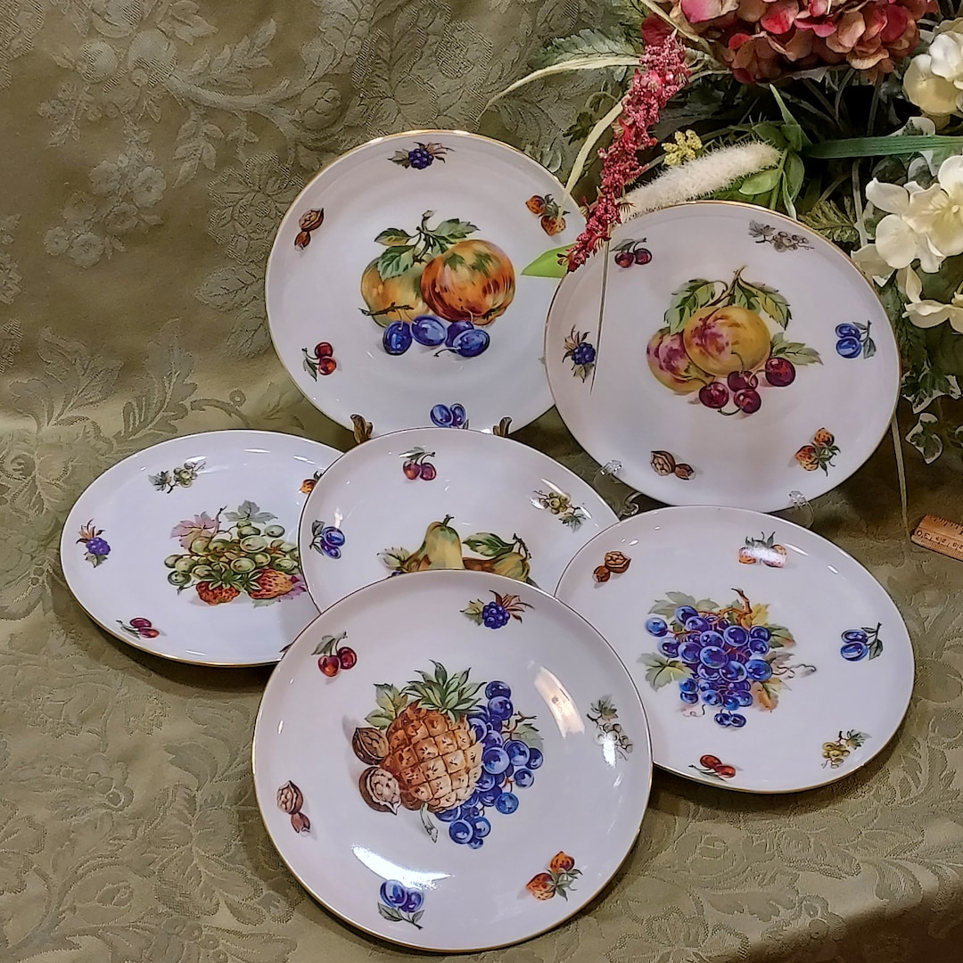 Fine Bohemian China Salad Plates Fruit Motif Set of 6 Czechoslovakia - Etsy