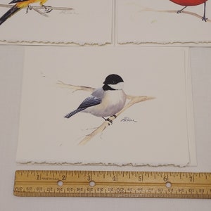 Bird Theme Blank Notecards by Susan S Shane Set of 5 With Envelopes - Etsy