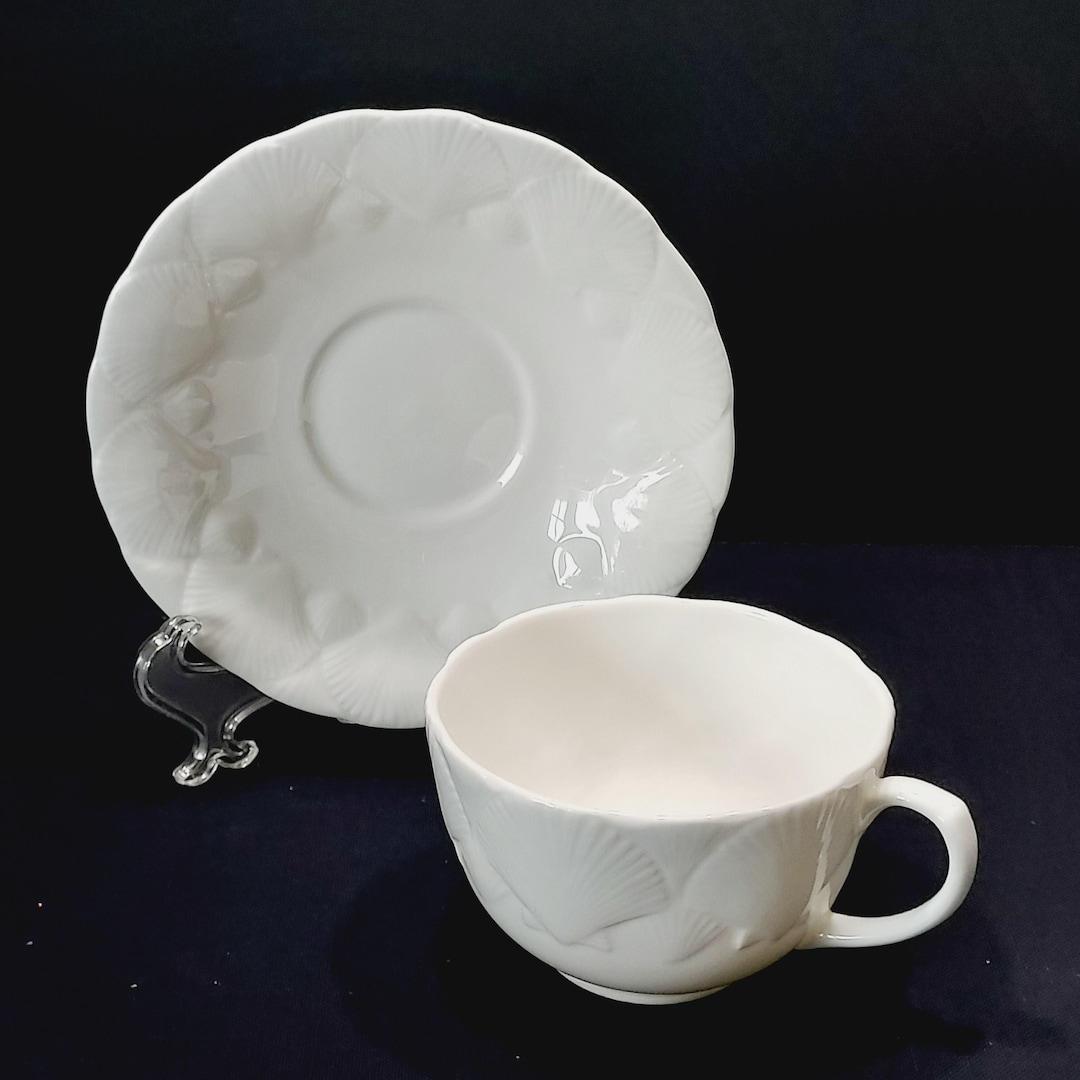 Coalport Oceanside White Cups & Saucers Seashell Theme - Etsy
