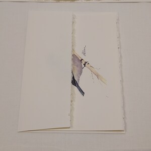 Bird Theme Blank Notecards by Susan S Shane Set of 5 With Envelopes - Etsy