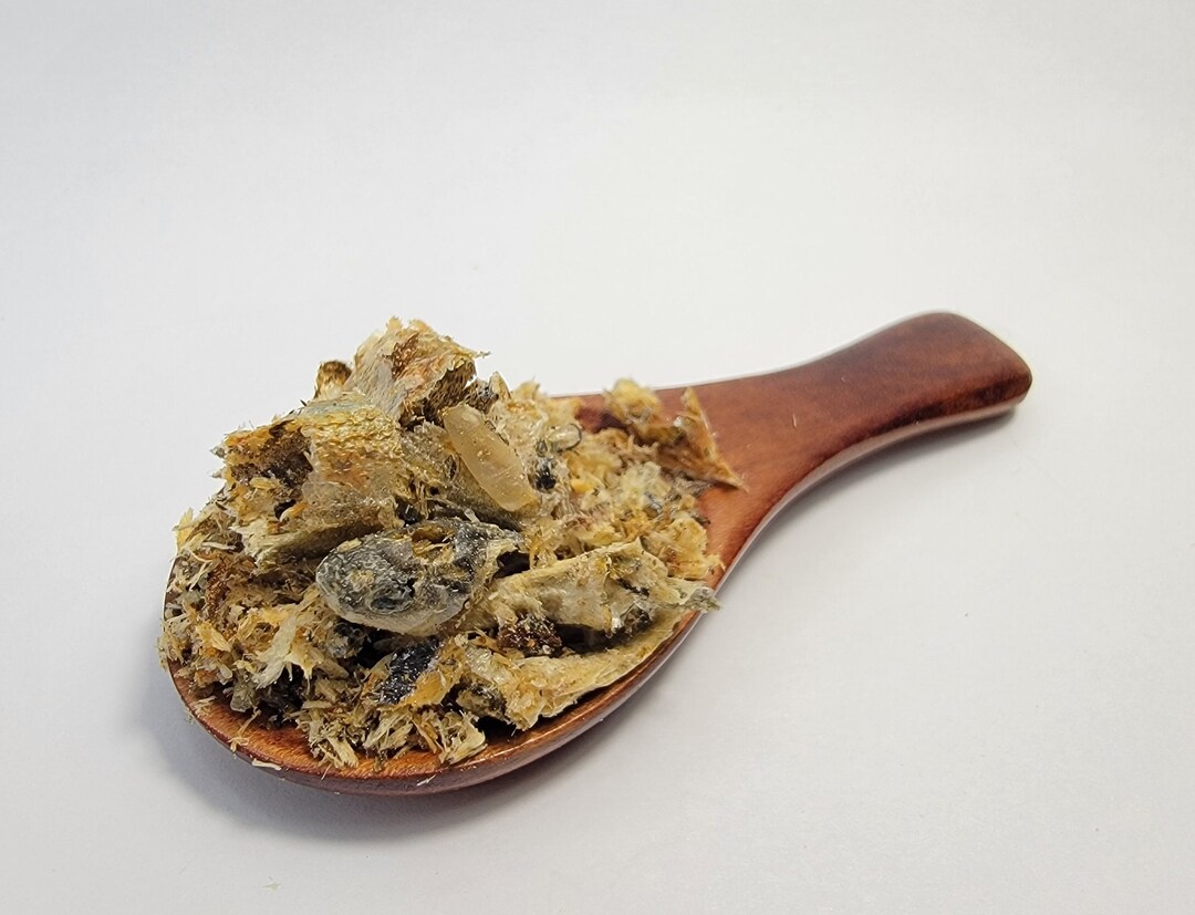 Minnows | Hermit Crab Food | Protein - Etsy