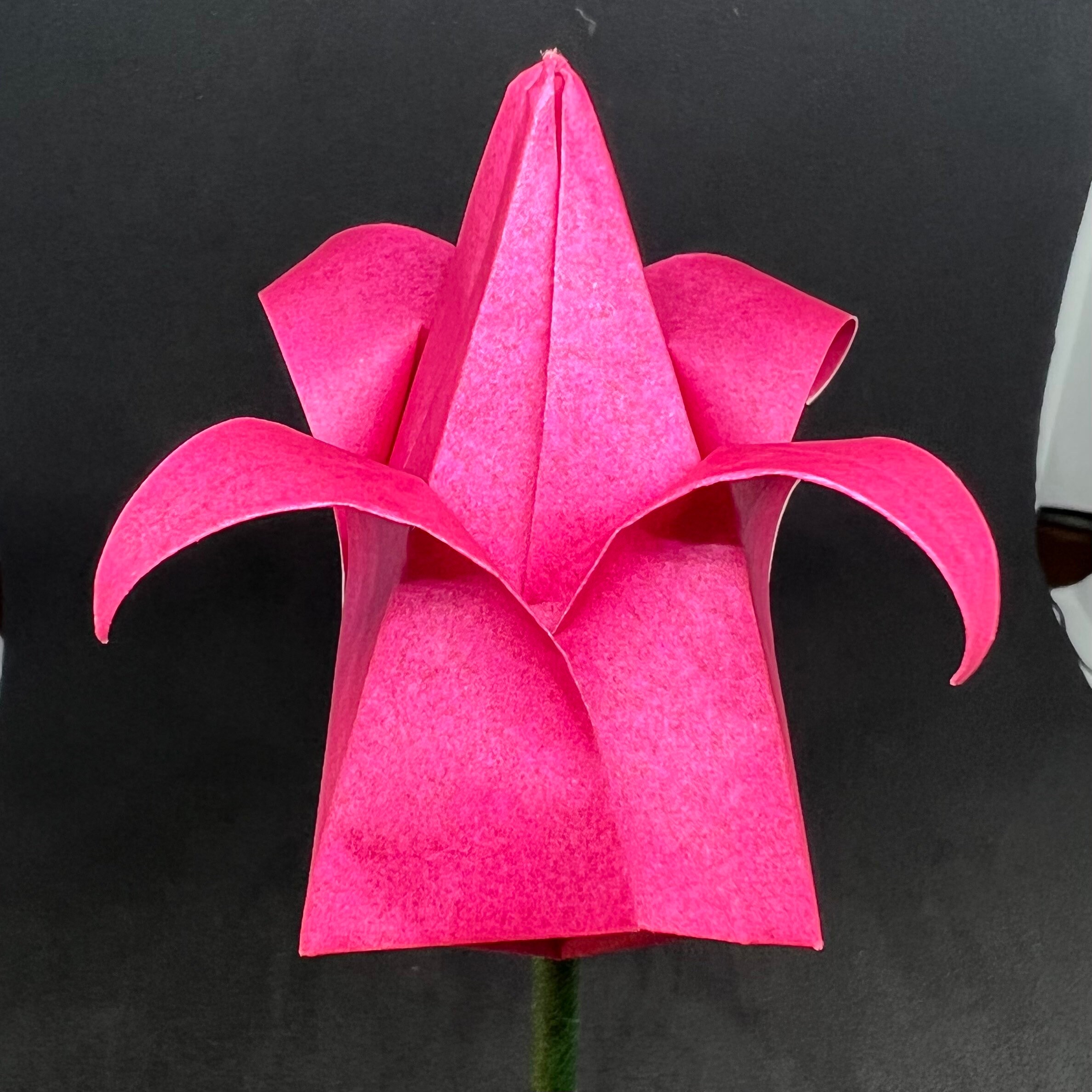Origami Tulips - Etsy
