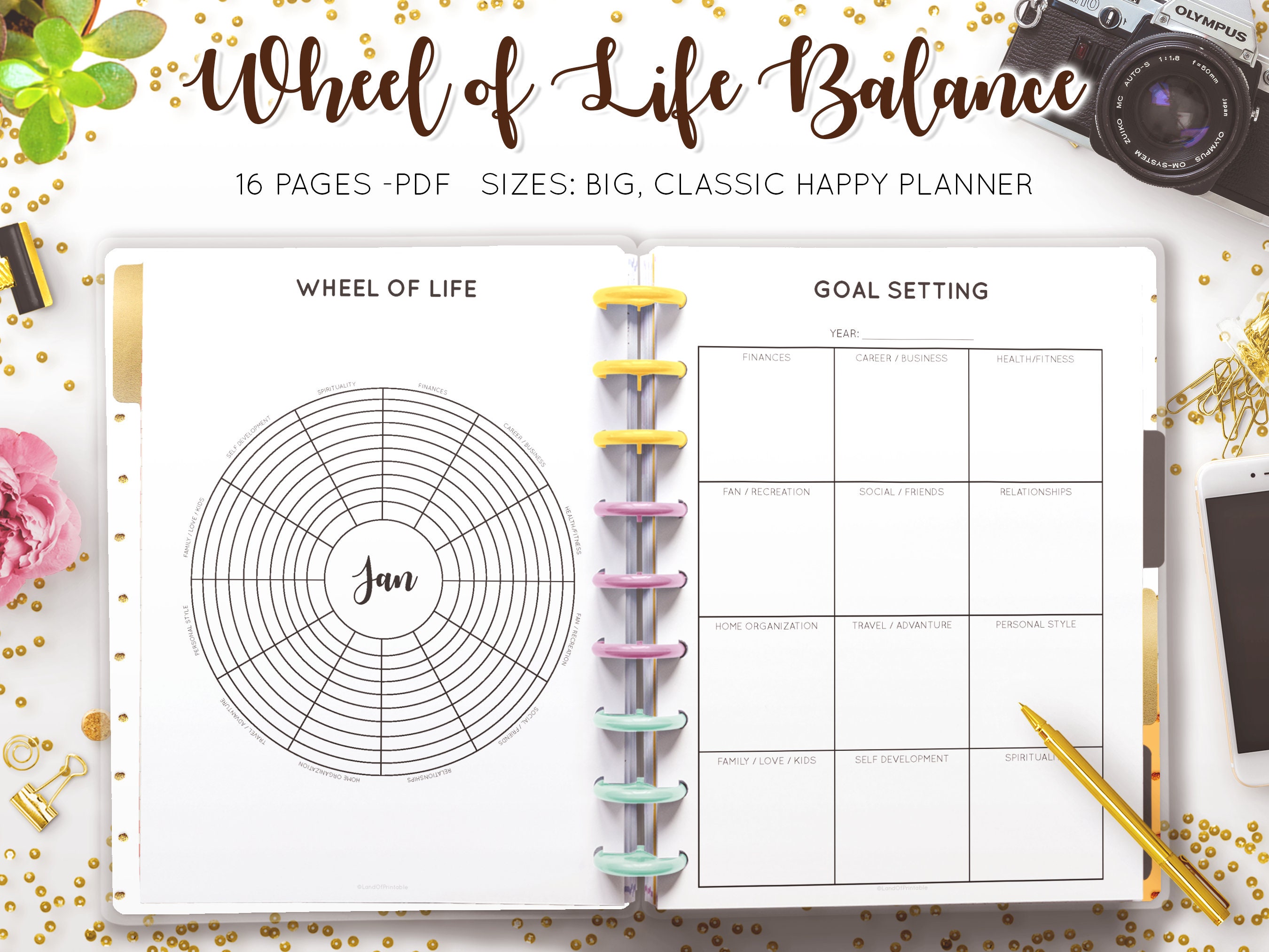 Wheel of Life Template Wheel of Life Balance Goal Planner - Etsy