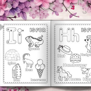 Learning Binder | Alphabet Busy Book | Preschool Curriculum | Letter of ...