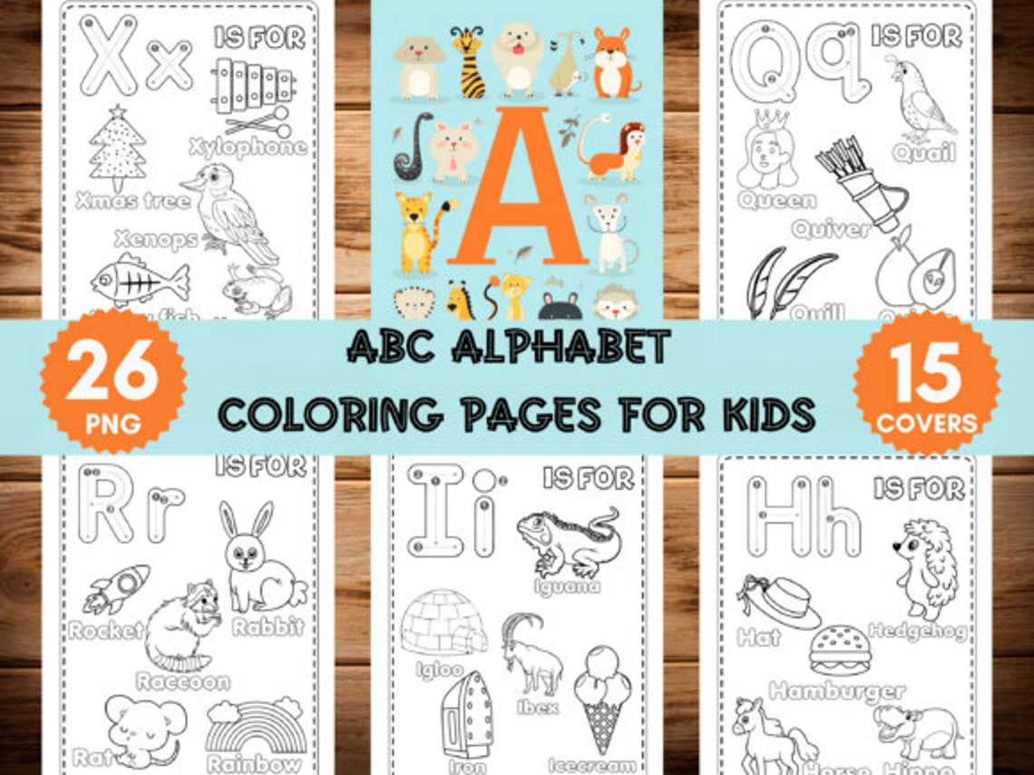 Learning Binder | Alphabet Busy Book | Preschool Curriculum | Letter of ...