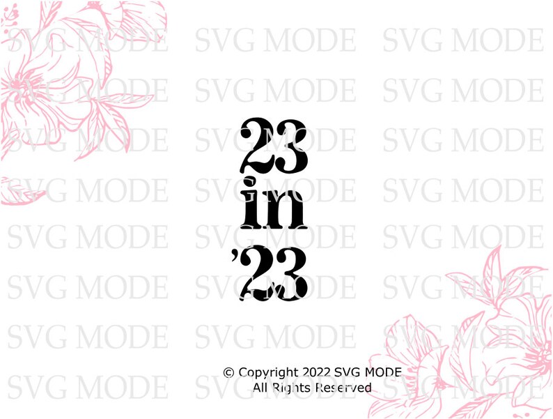 23 in 23 SVG PNG 23rd Birthday Svg 23 Years Old Svg 23rd - Etsy