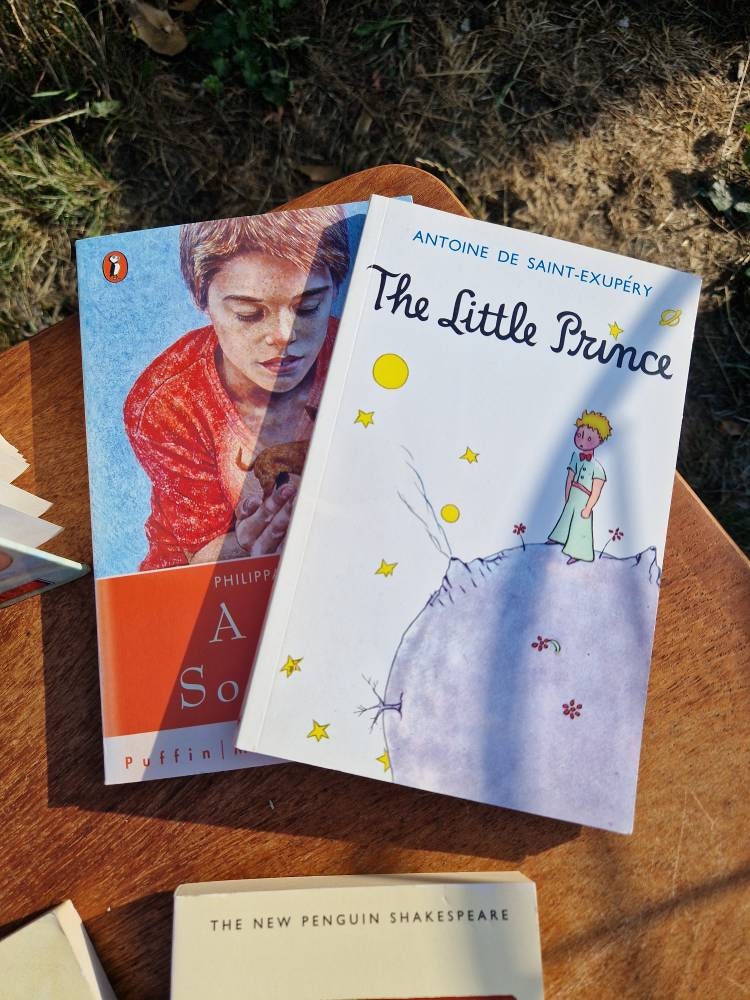 Gorgeous Collection of 11 Classic Used Vintage Children's Books. One ...