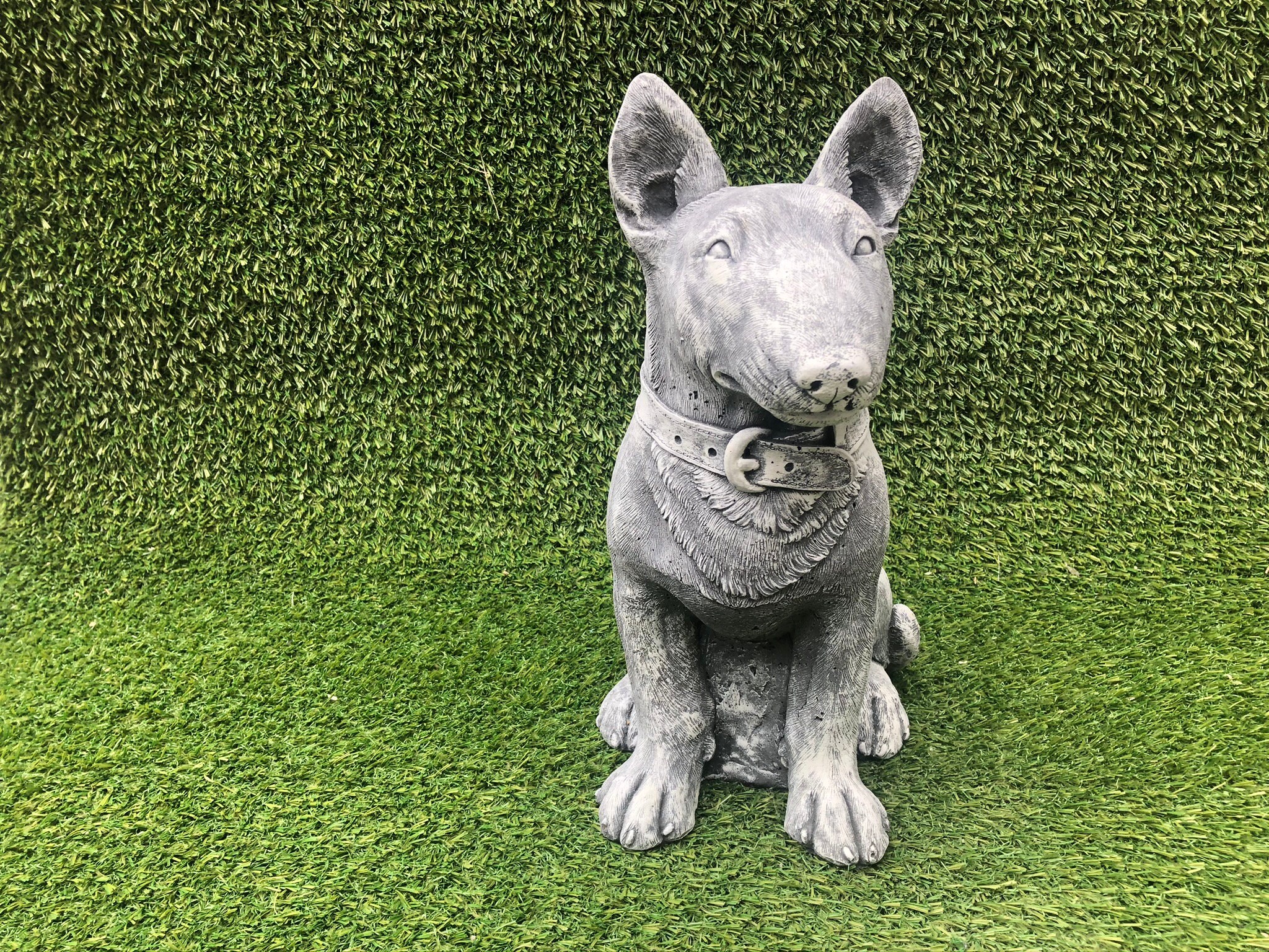 Is Plaster Of Paris Toxic For Dogs