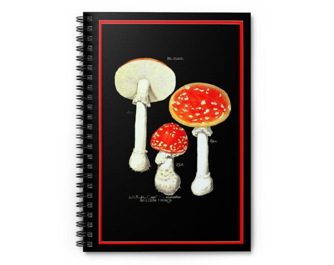 Bear Cubs Baby Bear Notebook Chart Spiral Notebook Ruled - Etsy