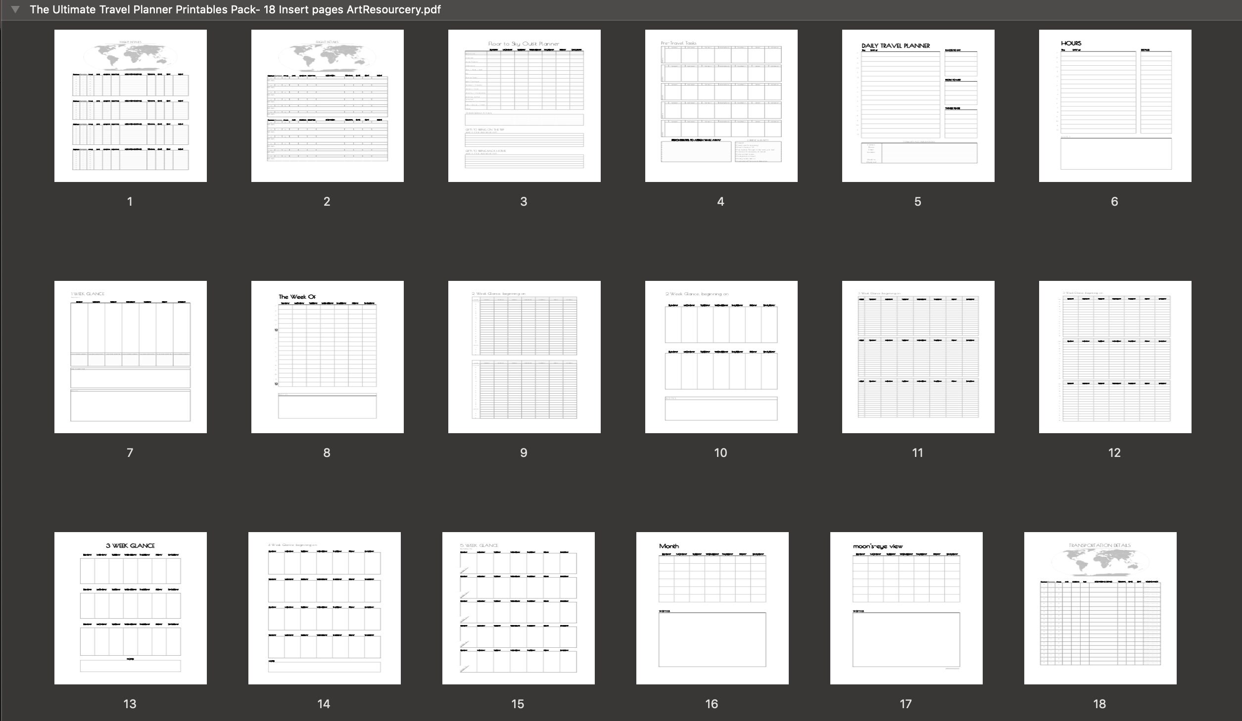 Travel Planner Bundle 18 Pages Flight Info, Outfit Packing List, Hourly ...