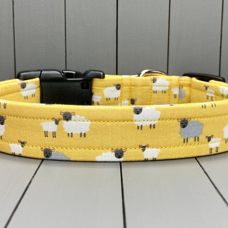 Spring Dog Collar - Etsy