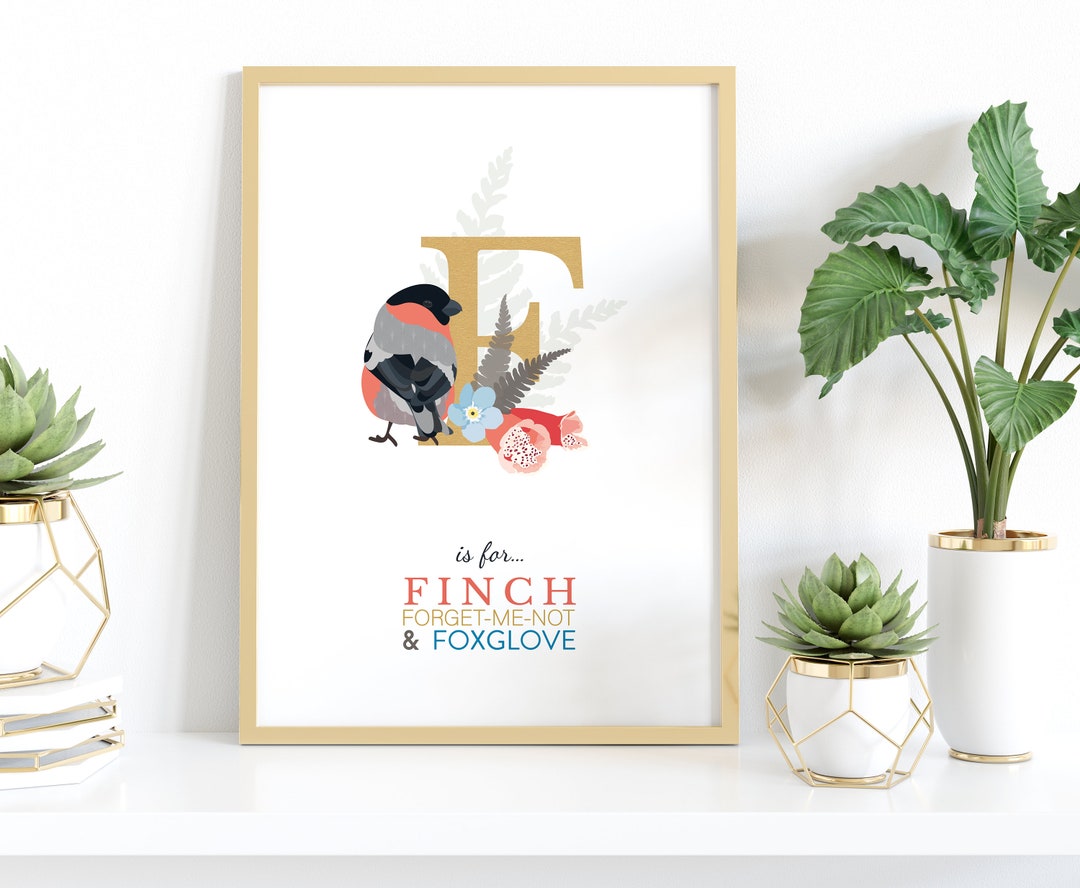 Finch, British Wildlife Art Print - Etsy