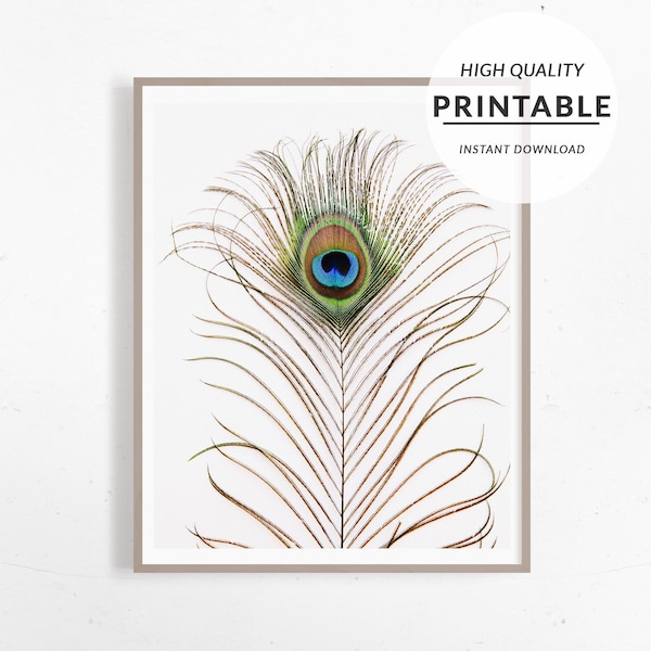 Peacock Feather Print - Etsy