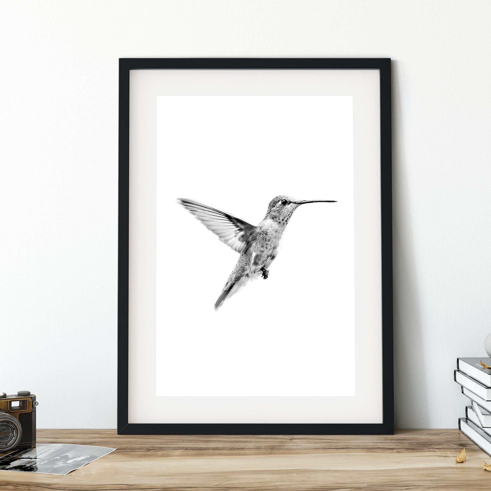 Hummingbird Print, Hummingbird Poster, Black and White, BW Print, Bird ...