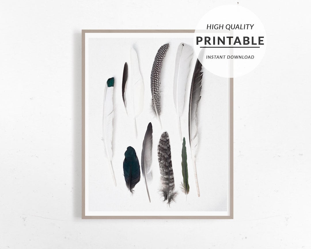 Bird Feather Print, Feather Poster, Bird Print, Hummingbird Print ...