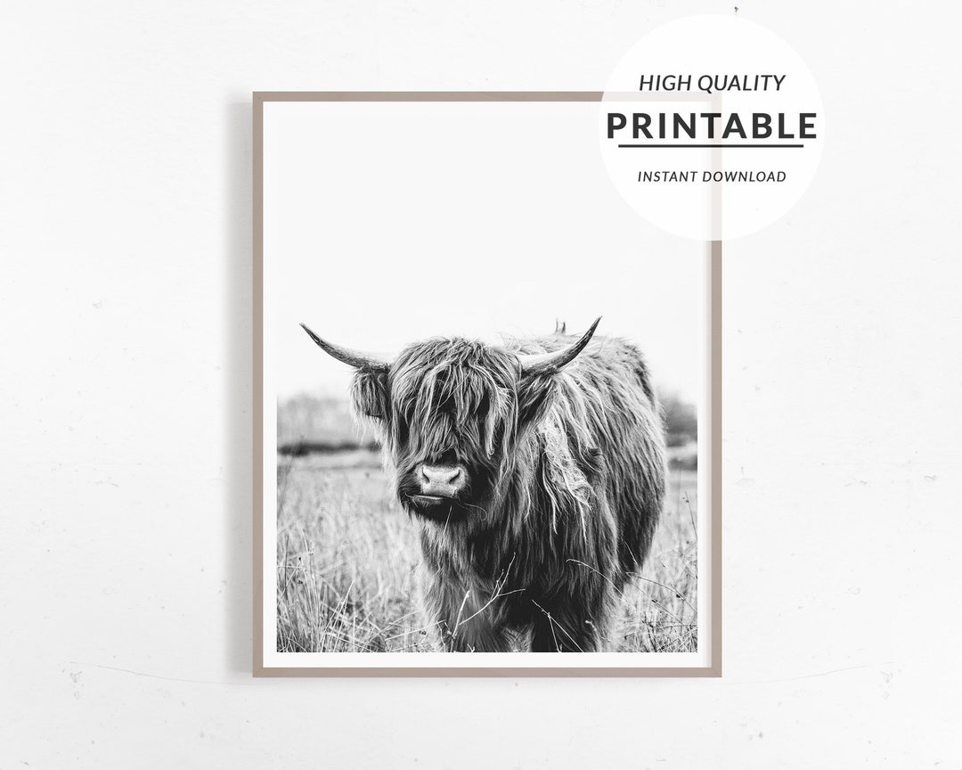 Cow Print, Highland Cow, Cow Poster, Farm House Prints, Farm Poster ...