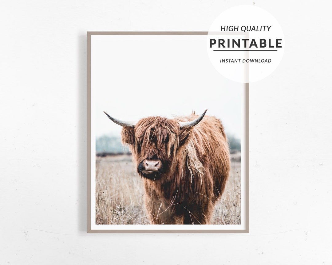 Cow Print, Highland Cow, Cow Poster, Farm House Prints, Farm Poster ...