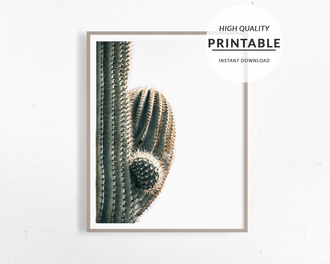 Cactus Printable, Cactus Poster, Desert Cactus, Boho Decor, South ...