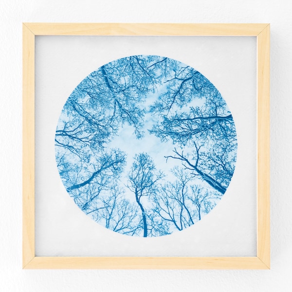 Cyanotype Print - Etsy