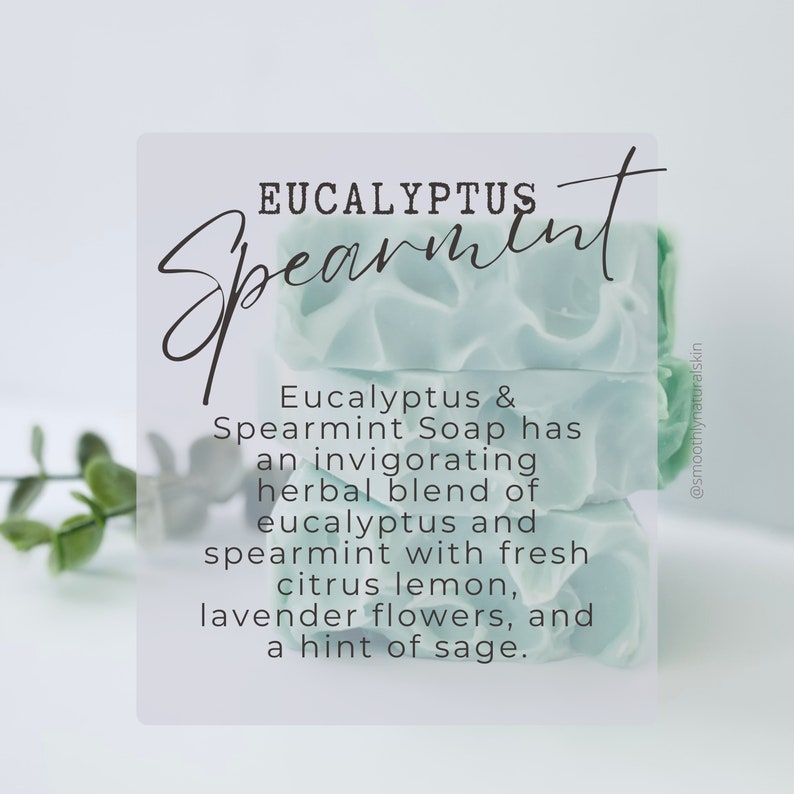 Eucalyptus & Spearmint Soap, Fragrance Soap, Natural Vegan Soap, Artisan Soap, Cold Process Soap ...