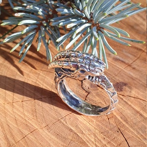 Ouroboros Ring, Ouroboros Jewelry, Dragon Ouroboros, Ouroboros Ring ...