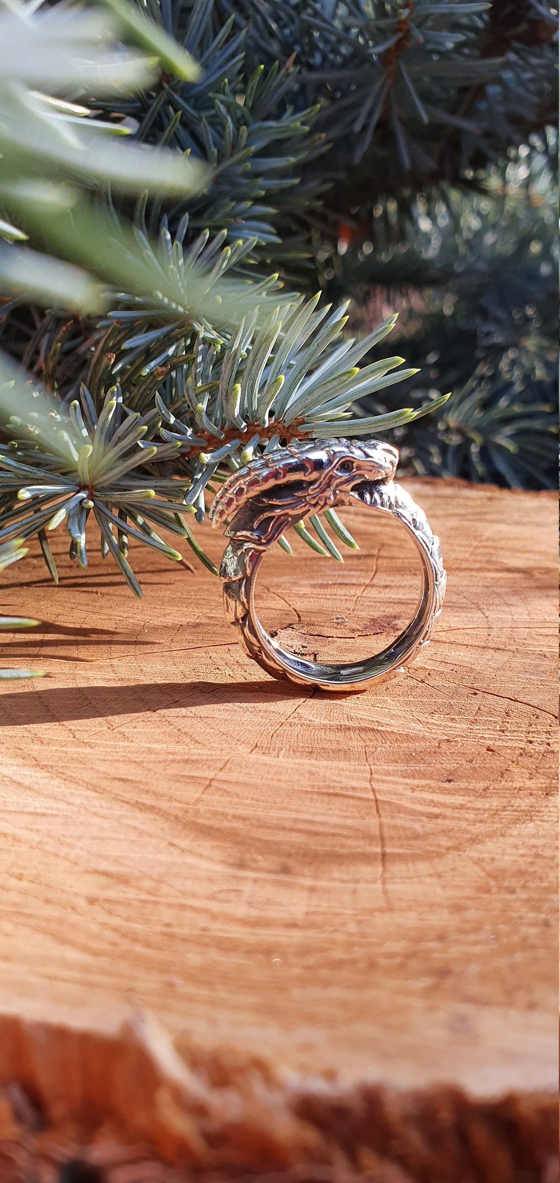 Ouroboros Ring ouroboros jewelry Dragon Ouroboros Ouroboros | Etsy
