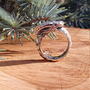 Ouroboros Ring, Ouroboros Jewelry, Dragon Ouroboros, Ouroboros Ring ...