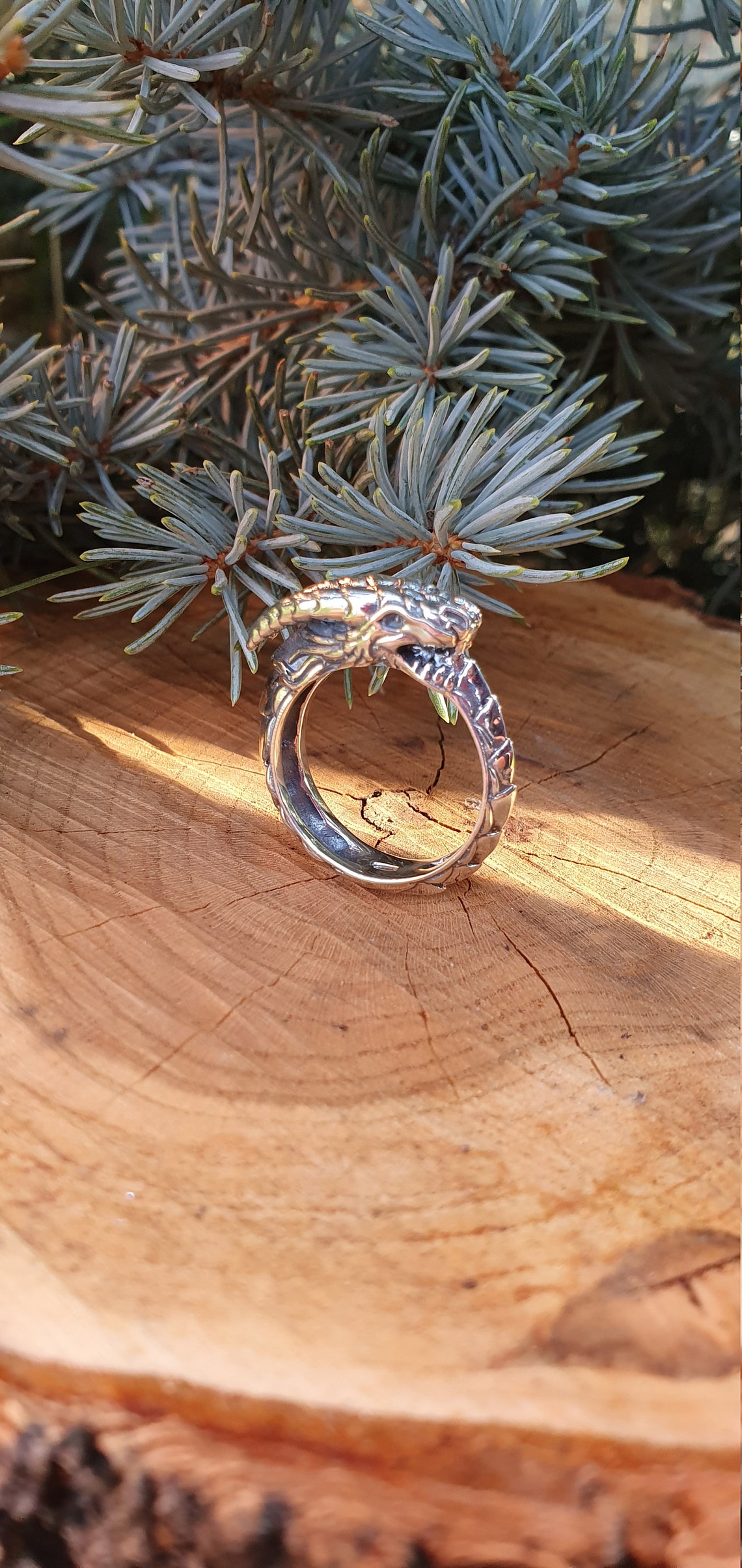 Ouroboros Ring ouroboros jewelry Dragon Ouroboros Ouroboros | Etsy