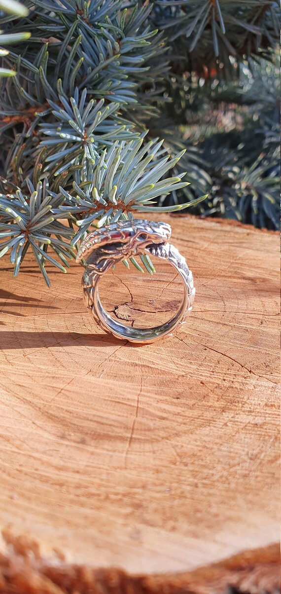 Ouroboros Ring ouroboros jewelry Dragon Ouroboros Ouroboros | Etsy