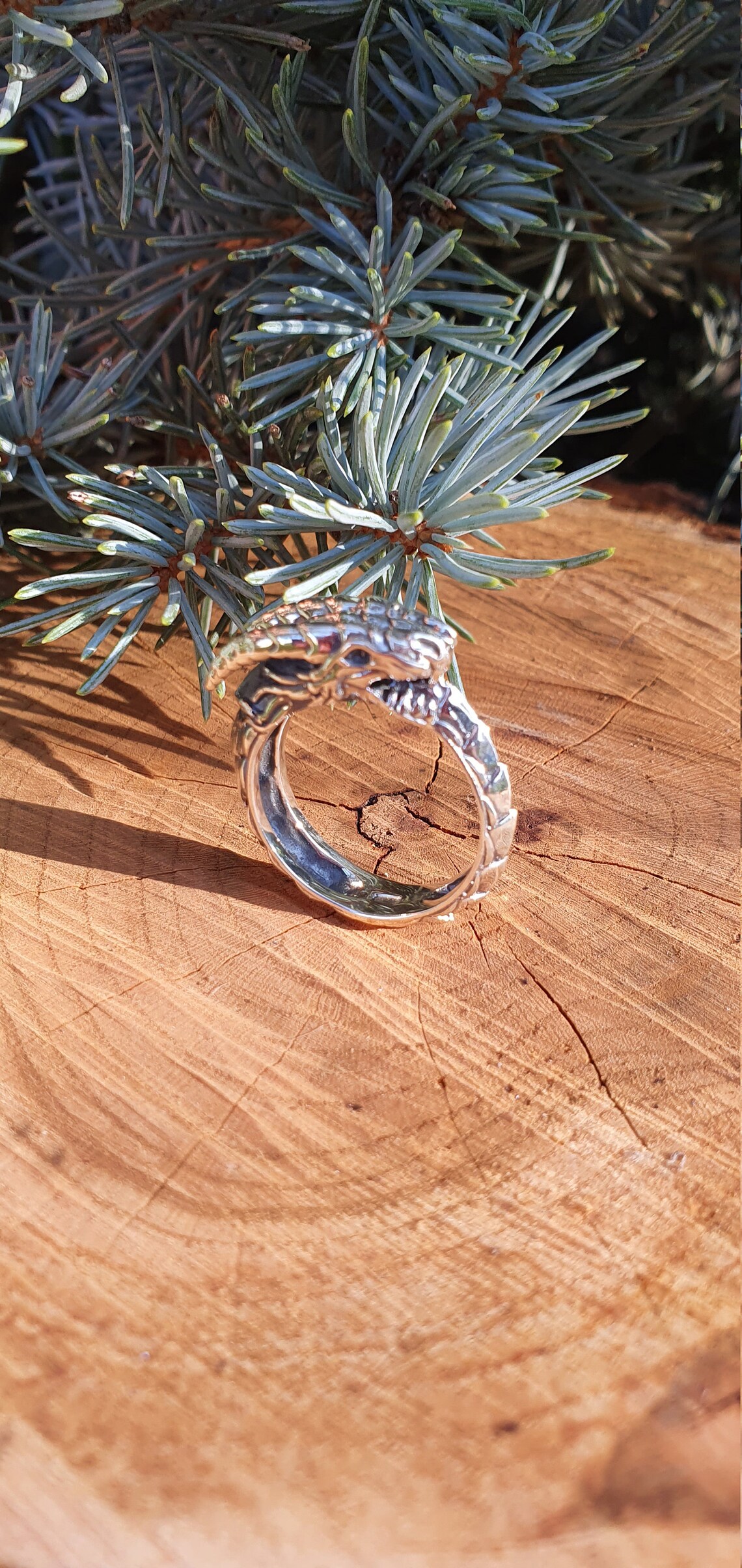 Ouroboros Ring ouroboros jewelry Dragon Ouroboros Ouroboros | Etsy