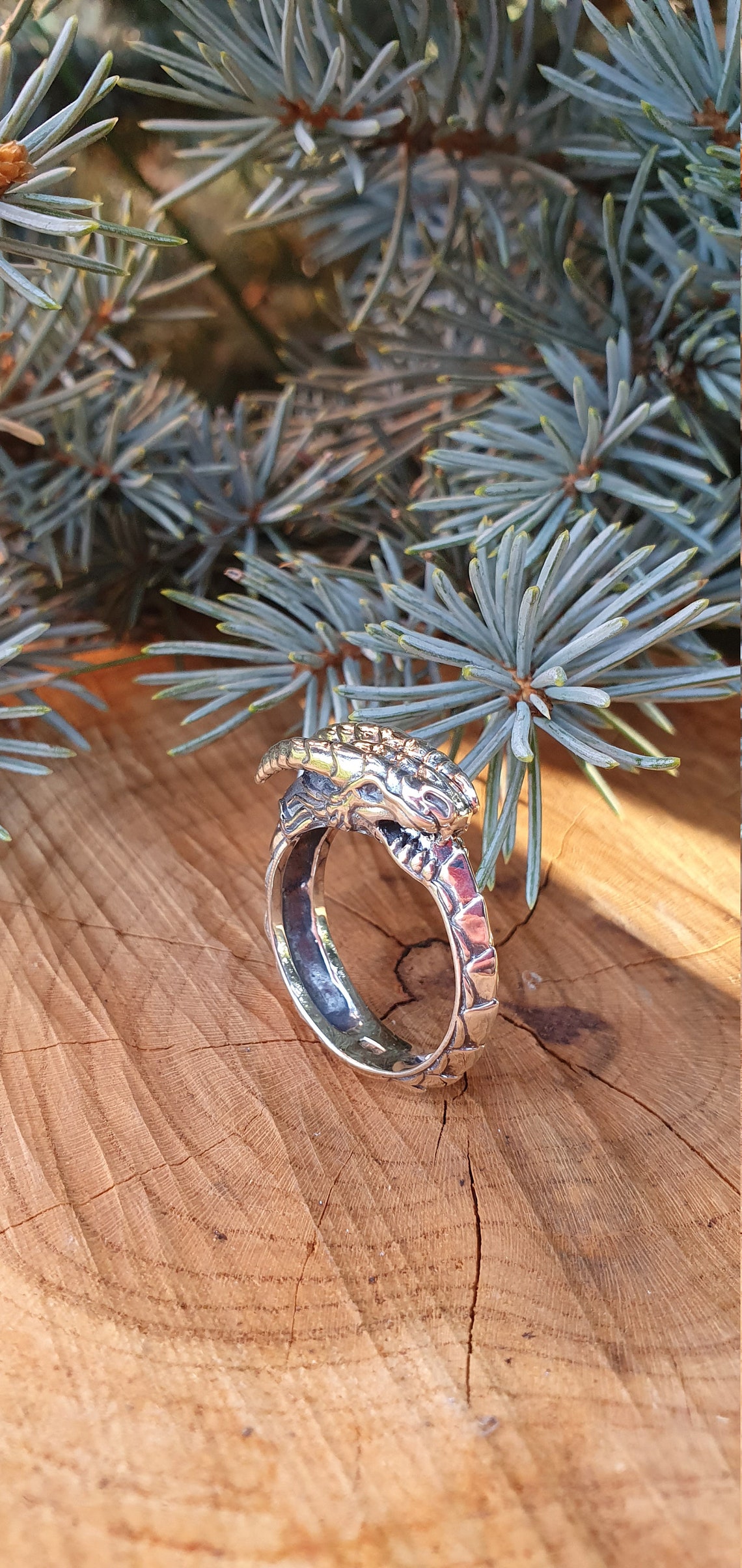 Ouroboros Ring ouroboros jewelry Dragon Ouroboros Ouroboros | Etsy