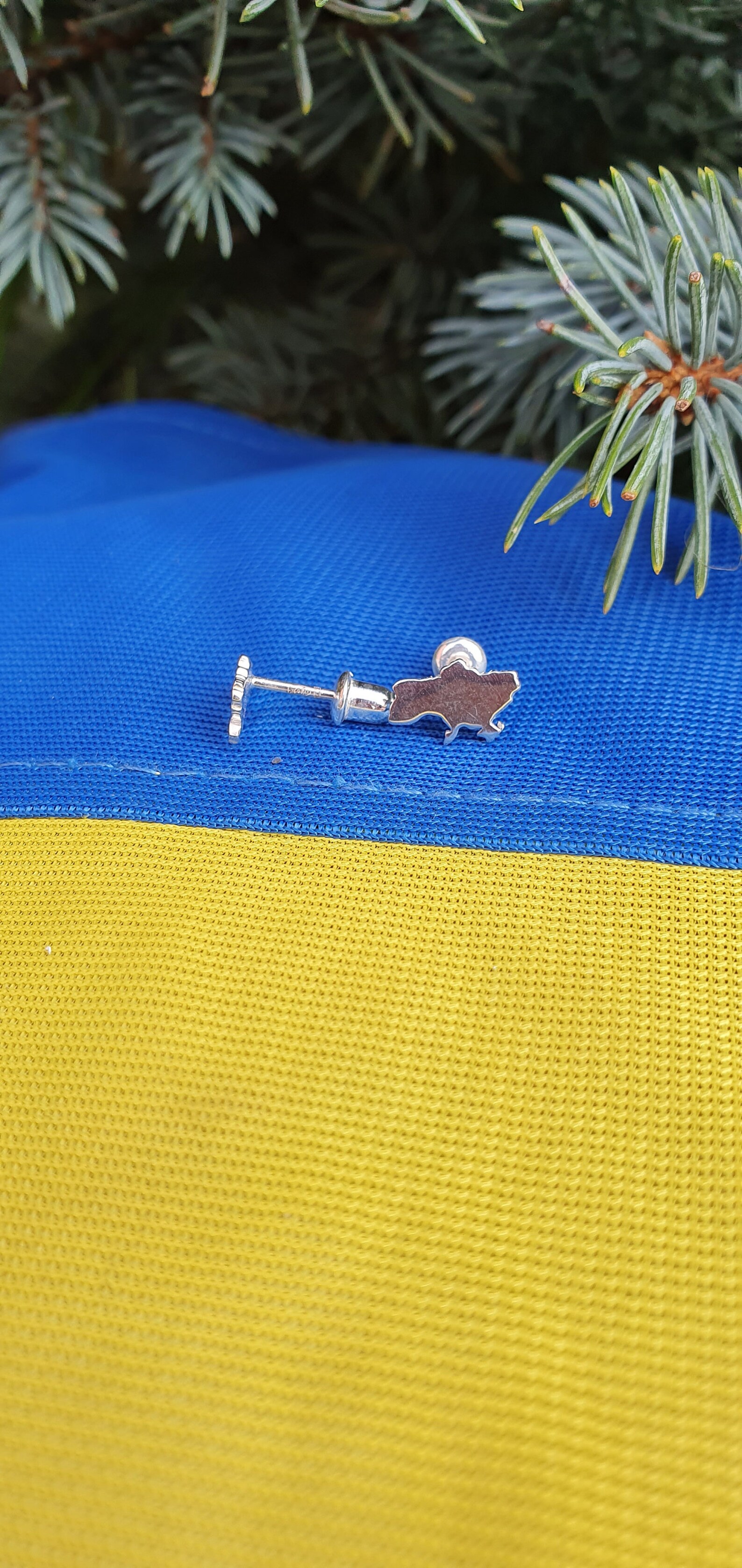 Earrings Map of Ukraine Studs With a Map of Ukraine Earrings - Etsy