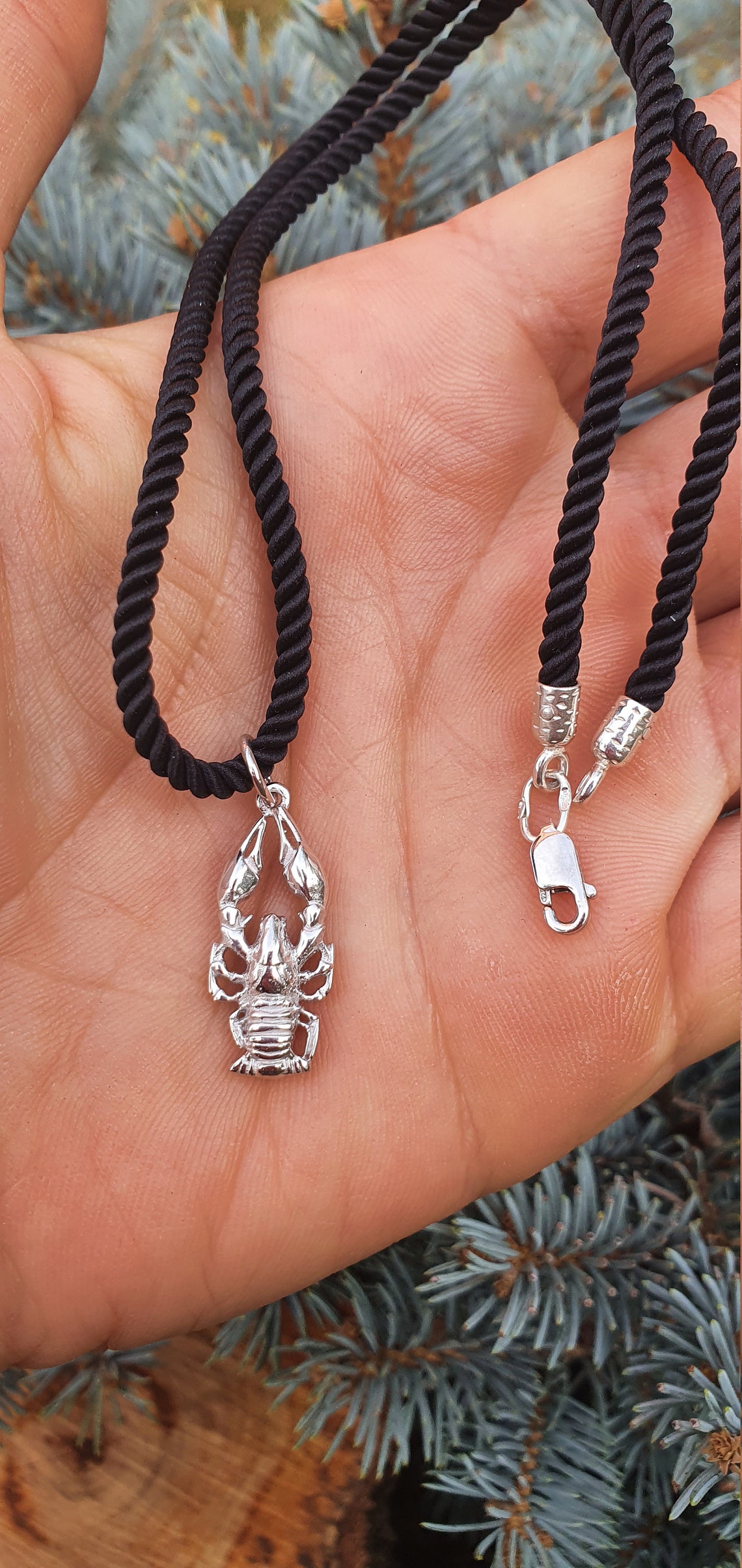 Pendant Zodiac Sign Cancer Pendant Cancer Silver Cancer Sign - Etsy UK