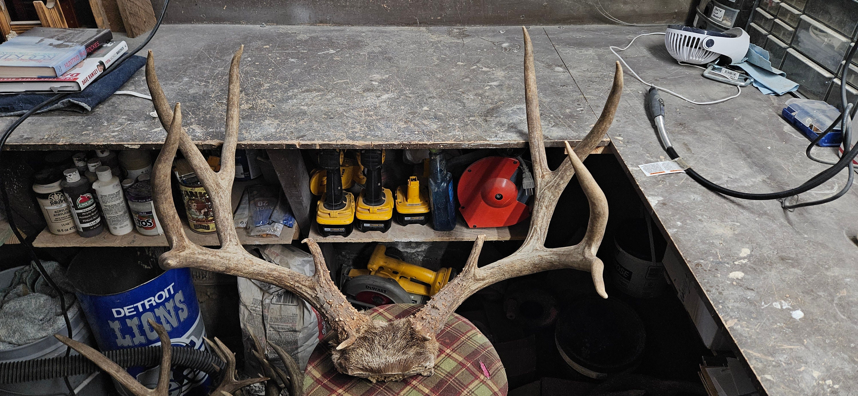 Huge 180 Mule Deer Shed Antlers Rack - Etsy