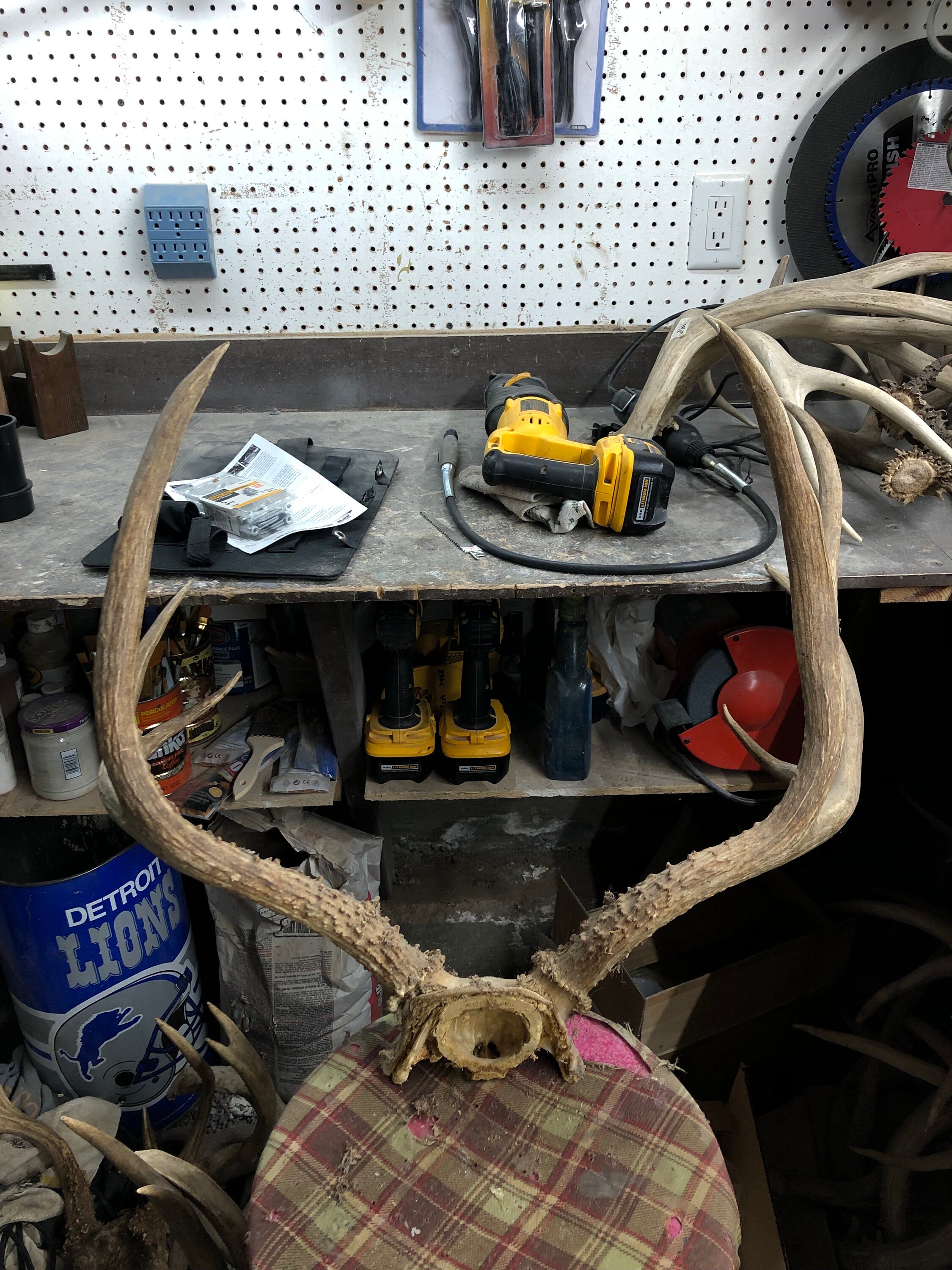 Big Brown Mule Deer Rack - Etsy