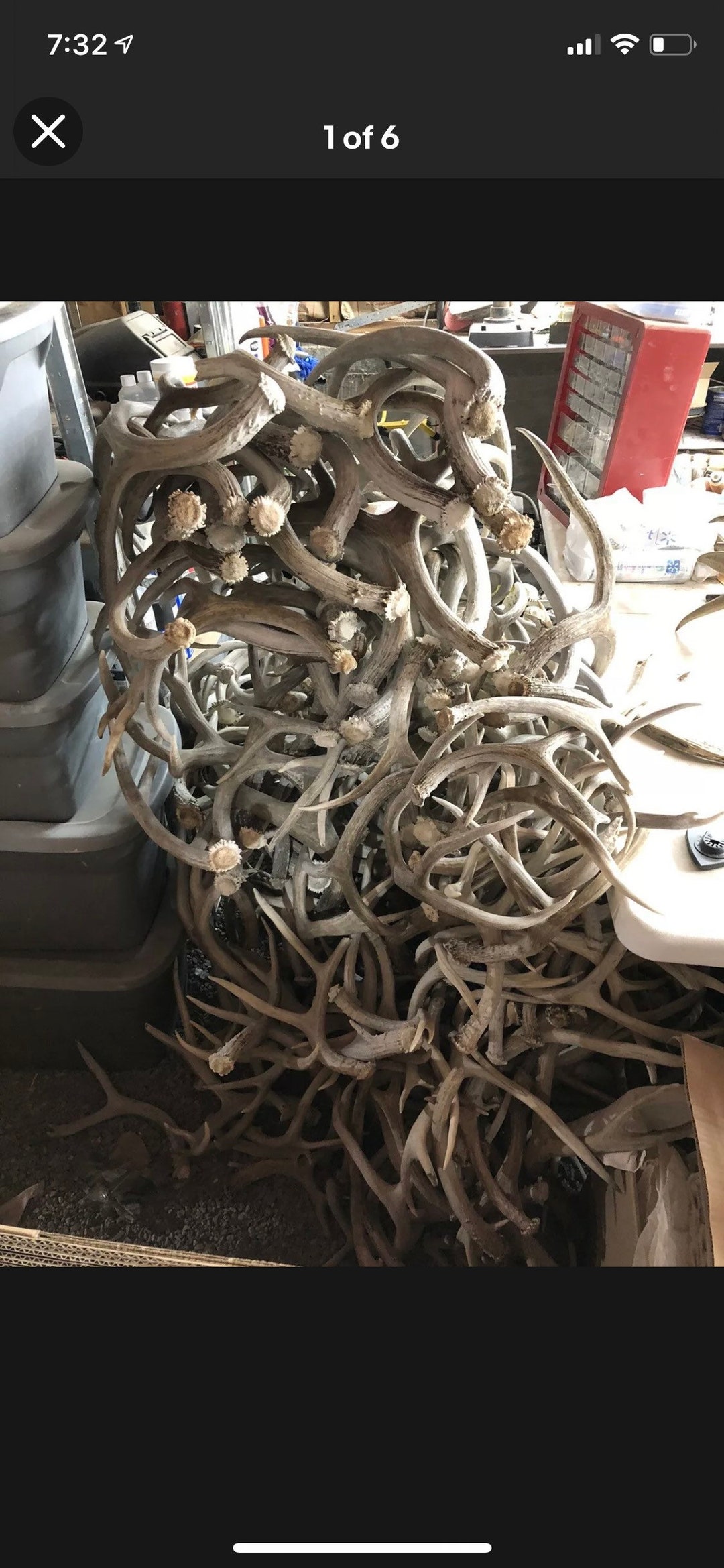 10 Lbs of Hard White Deer Antlers - Etsy