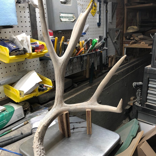 Mule Deer Sheds Svg - Etsy