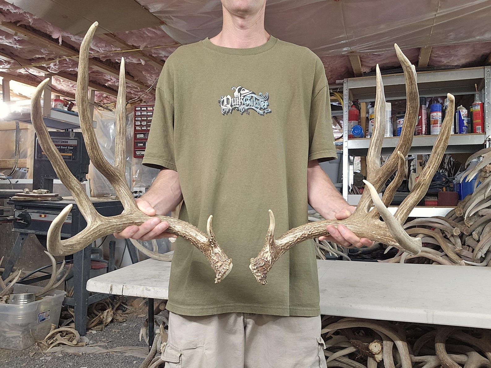 Huge 191 Mule Deer Sheds Antlers Rack - Etsy