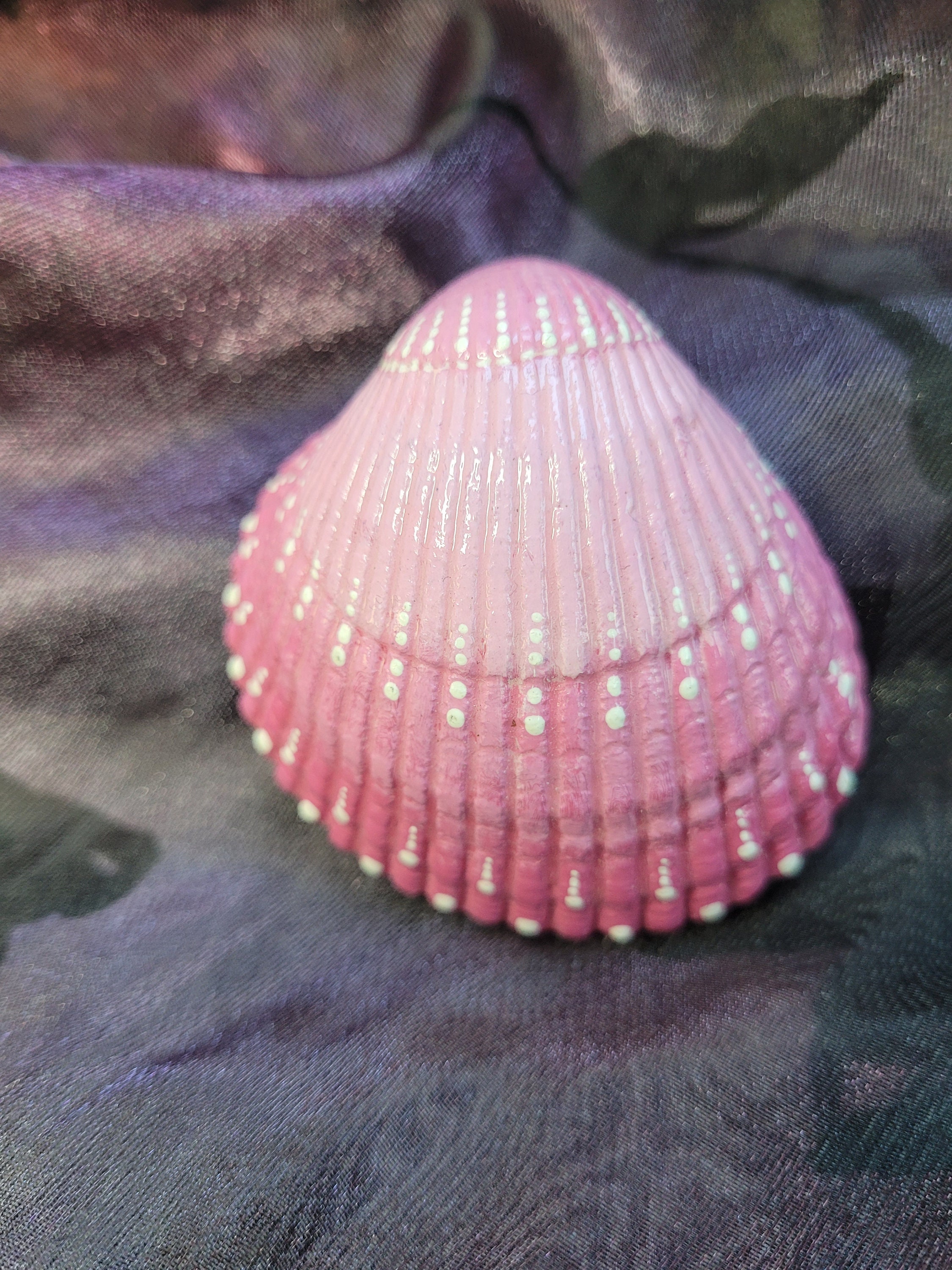 Acrylic Painted Seashell, Pink and White Painted - Etsy