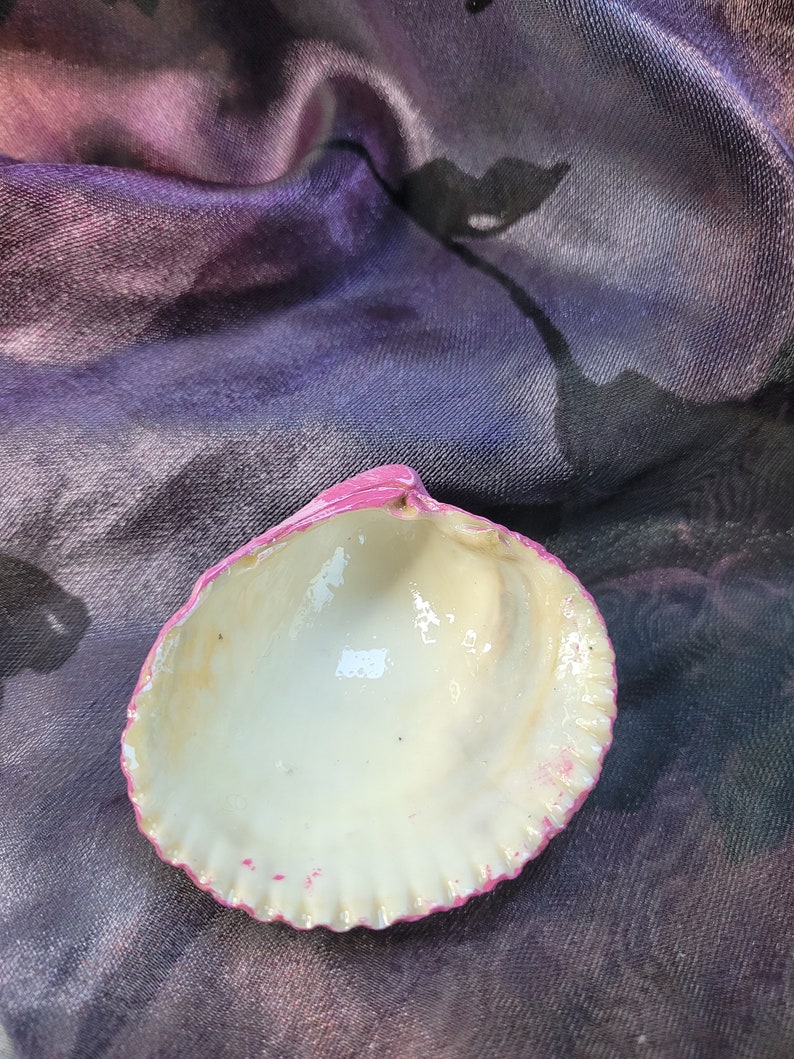 Acrylic Painted Seashell, Pink and White Painted - Etsy