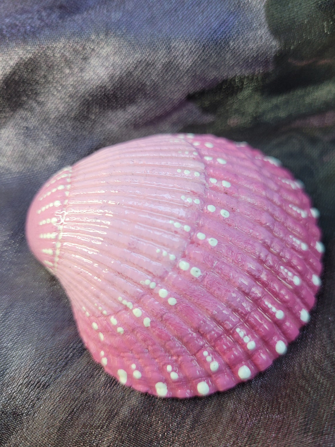 Acrylic Painted Seashell, Pink and White Painted - Etsy